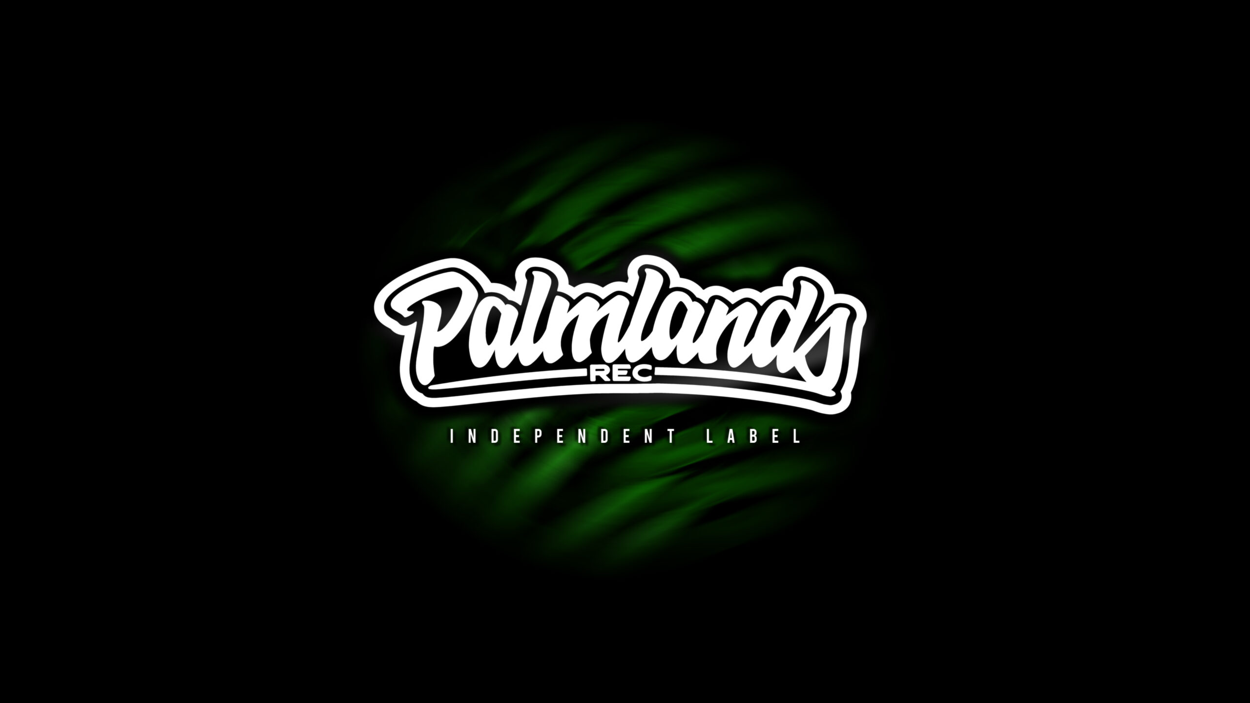 Palmlands Records Tech House Label | Official Website